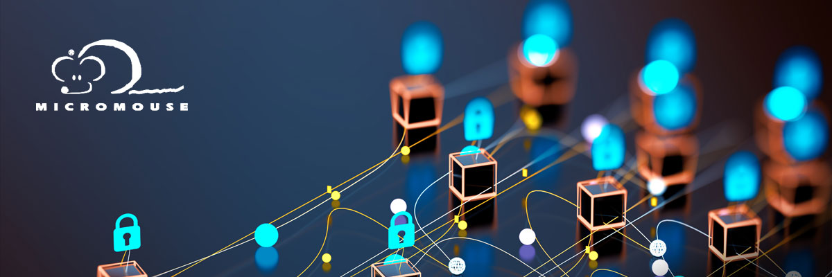 Controles de acceso: Porqué y cómo - Micromouse